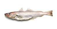 2gangeomugen: 2gangeomugen
